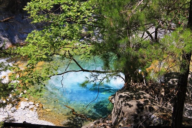 Full Day Hiking at Samaria Gorge&Agia Rumeli Beach From Heraklion - Hiking Experience and Feedback