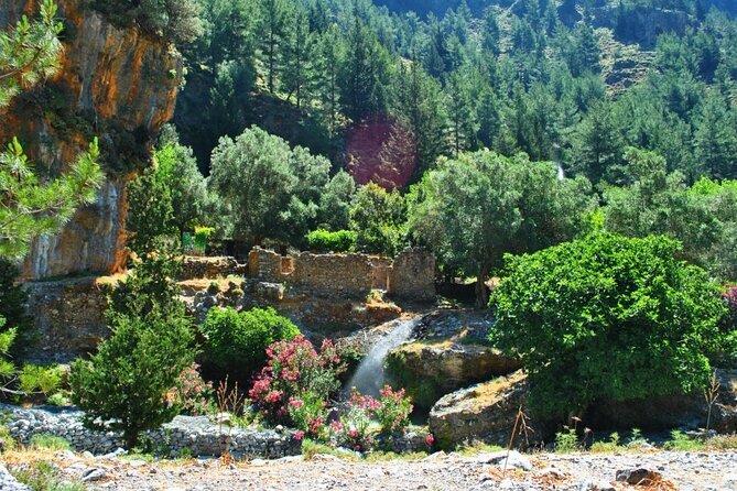 Full Day Hiking at Samaria Gorge&Agia Rumeli Beach From Heraklion - Guide Performance and Tour Management