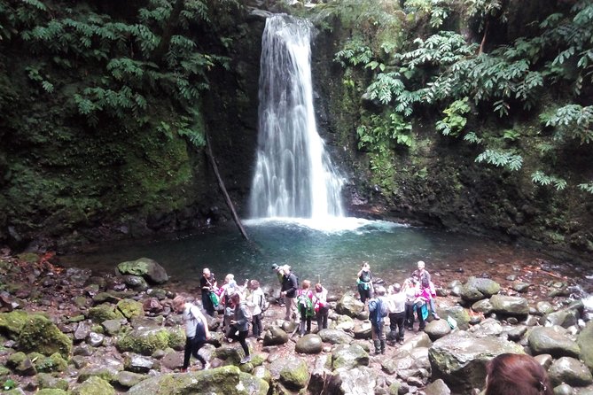 Full Day Hiking Faial Da Terra (Min. 2 Persons) - Transportation and Accessibility