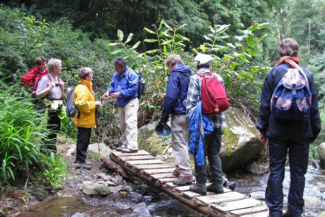 Full Day Hiking Faial Da Terra (Min. 2 Persons) - Highlights of the Tour