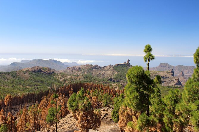 Full Day Hiking Gran Canaria Peaks of Gran Canaria - Hike Duration and Itinerary