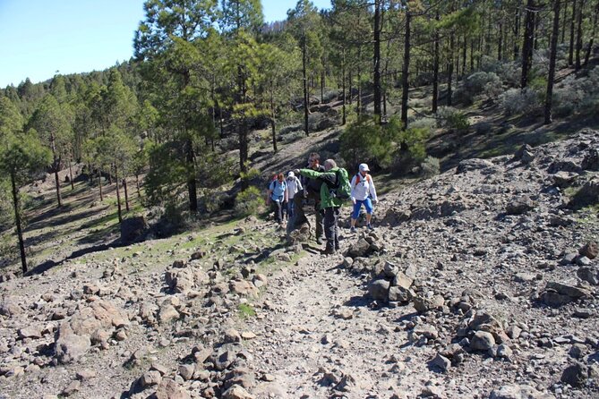 Full Day Hiking Gran Canaria Peaks of Gran Canaria - Booking and Additional Information