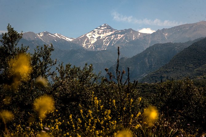 Full-Day Hiking Mount Taygetos Summit with Picnic - Considerations Before You Book