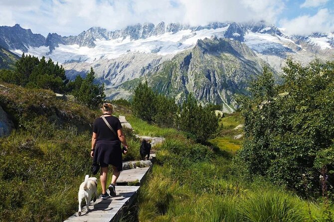 Full-Day Hiking Swiss Alps and Lake Lucerne With Pick-Up - Meeting and Pickup Details for Your Convenience