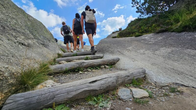 Full-Day Hiking Swiss Alps and Lake With Pick-Up - Lucerne - Preparation and Requirements