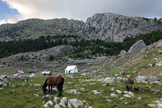 Full-Day Hiking Tour to Maganik Montenegro - Who Should Consider This Tour?