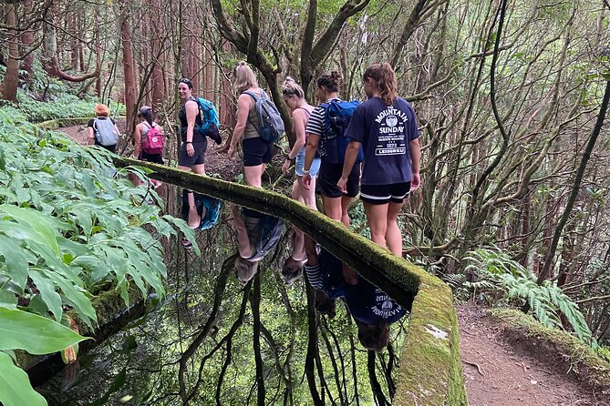 Full Day Hiking Trail in Lagoa do Fogo Sao Miguel - Who Will Enjoy This Tour?