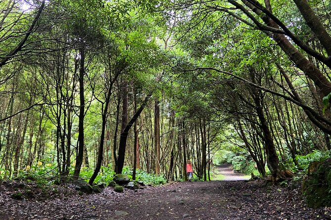 Full Day Hiking Trail Janela do Inferno + Caldeira Velha - Key Points