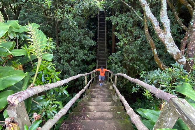 Full Day Hiking Trail Janela do Inferno + Caldeira Velha - Final Thoughts: Why You Should Consider This Tour