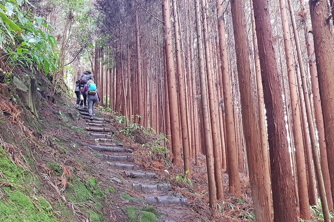Full Day Hiking Trail Waterfalls- in Lomba de São Pedro - Azores - FAQ