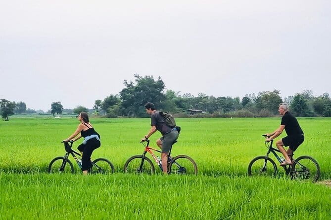 Full-Day Historical Park and Countryside Tour in Sukhothai - The Sum Up