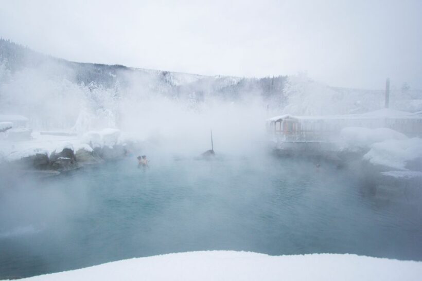 Full Day Ice Museum and Chena Hot Springs Tour - Key Points