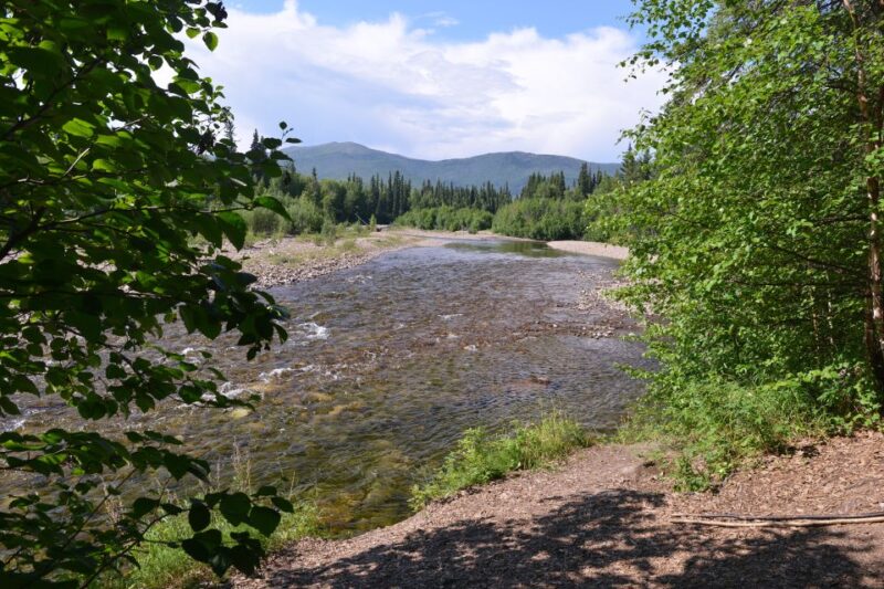 Full Day Ice Museum and Chena Hot Springs Tour - The Itinerary Breakdown