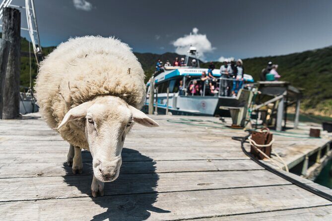 Full Day Iconic Mail Boat Cruise - FAQs