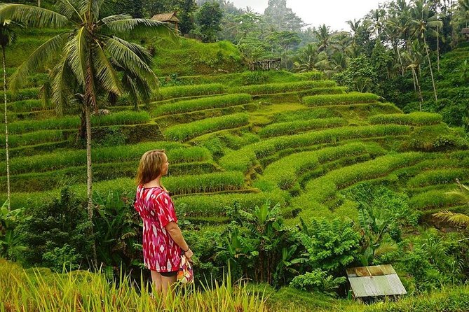 Full-Day in Bali: Private Design-Your-Own Tour - What to Expect from Your Day