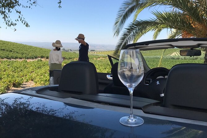 Full day in Cordoba between Vineyards and Olive Trees with a Convertible Car - Who Should Consider This Tour?
