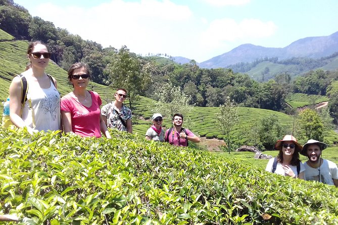 Full day in hiking in Munnar (By Munnar Info) - The Sum Up