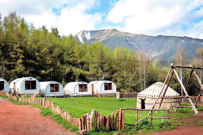 Full Day in Nature at Chunkurchak and Ala Archa National Park - Pricing and Value