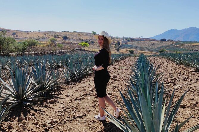 Full Day in Tequila with Tasting and party in Cantaritos - Frequently Asked Questions