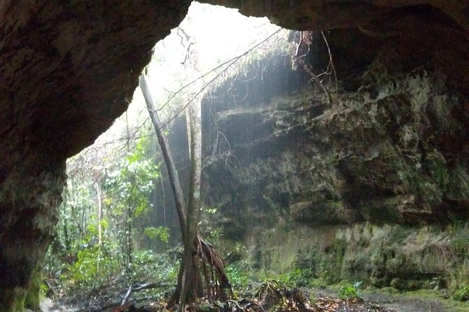 Full Day in the Amazon Jungle With Trails, Caves and Waterfalls - Tour Overview