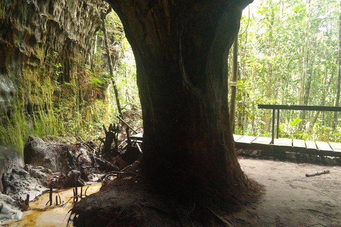 Full Day in the Amazon Jungle With Trails, Caves and Waterfalls - Exploring the Waterfalls