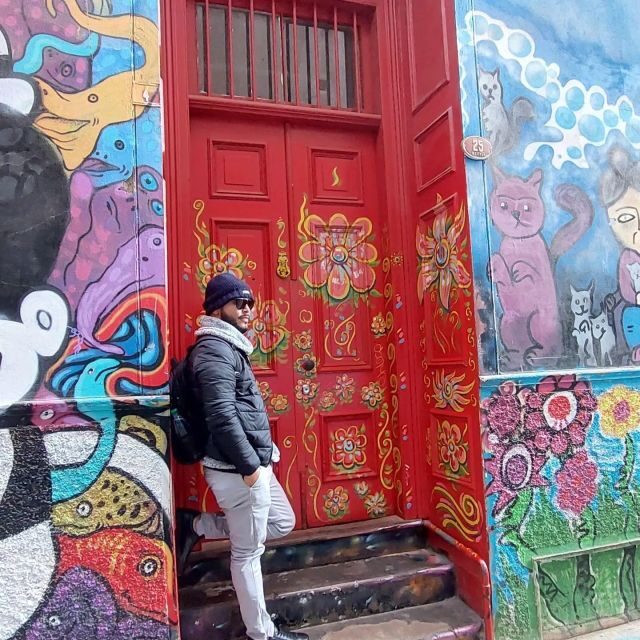 Full Day in Viña del Mar and Valparaiso from Santiago - What Travelers Say