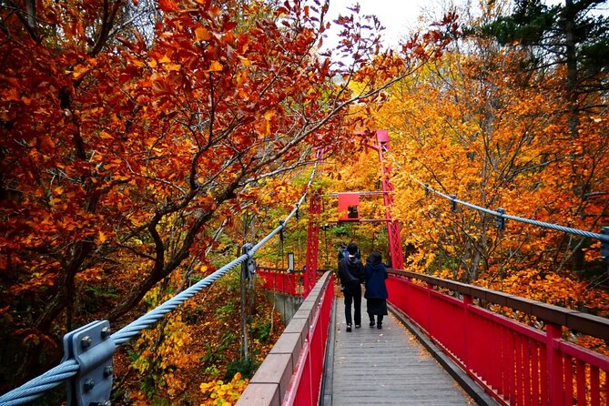 Full Day Indigenous Ainu of Hokkaido and Jozankei - Key Points