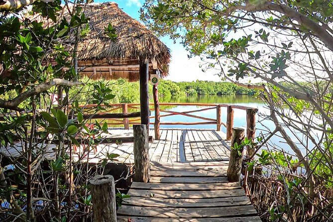 Full-Day Isla Contoy Sailing Nature Experience in Mujeres - Key Points