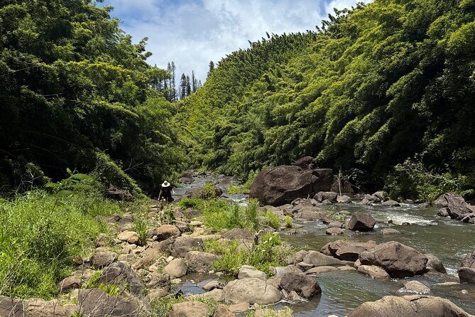 Full Day Island of Maui Private Tour - FAQ