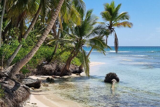 Full Day Island Tour in Isla Saona from Punta Cana - FAQ