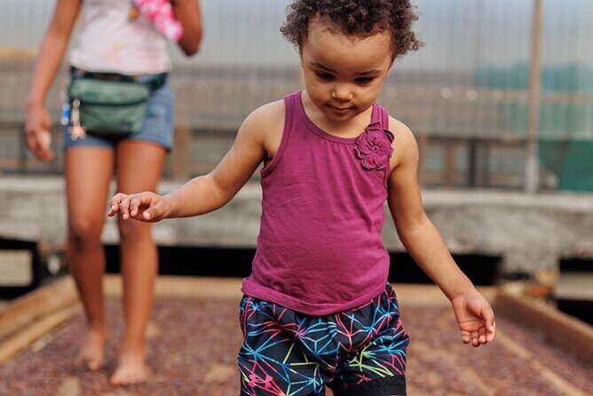 Full Day Island Tour with Hawaiian Leis theme - Summary