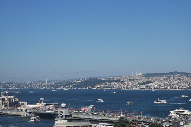 Full Day Istanbul Bosphorus Cruise and Dolmabahce Palace Tour with Private Guide - Practicalities and Value