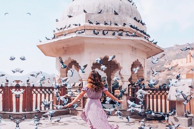 Full-Day Jaipur Tour Ending with a Sunset Experience - The Sum Up