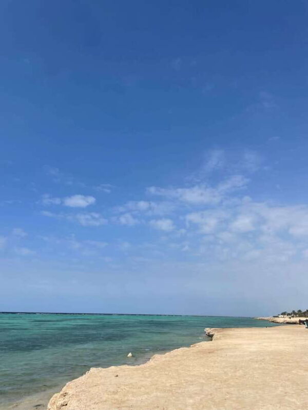 Full-Day Jeddah Discover the Heart of the Red sea - Key Points