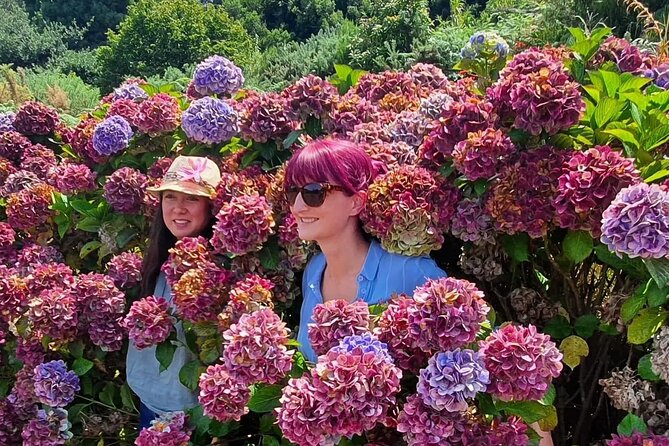 Full-Day Jeep 4x4: Amazing West Full-Day Tour to Natural Pools - FAQ