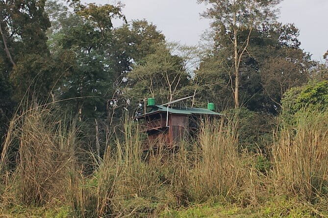 Full Day Jeep Safari in Chitwan National Park - An In-Depth Look at the Safari Experience