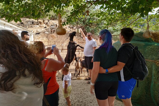 Full-Day Jeep Safari Tour with Cooking Lesson - The Culinary Finale and Historic Sights