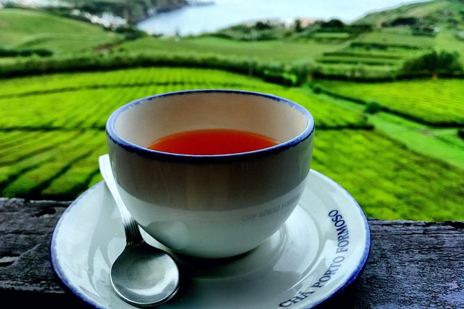 Full Day Jeep Tour Furnas With Lunch (Cozido) and Drinks Included - Pickup and Meeting Information