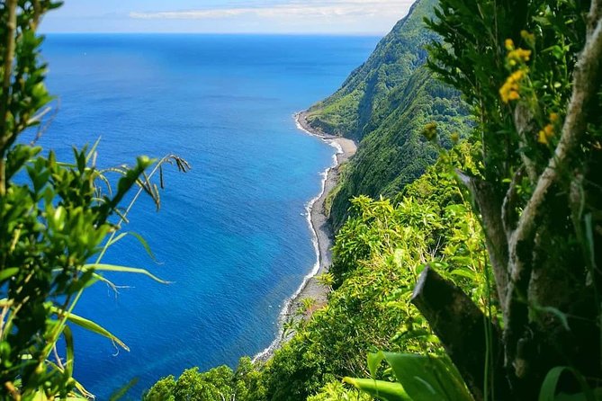 Full Day Jeep Tour Nordeste With Lunch Included - Customer Reviews and Ratings