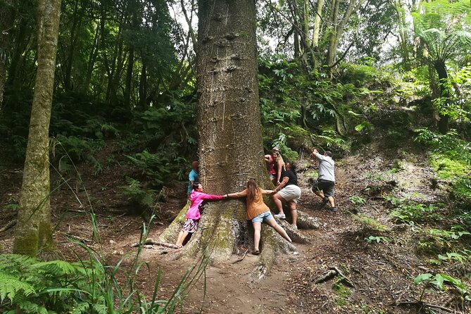 Full-Day Jeep Tour to Furnas - Cancellation Policy