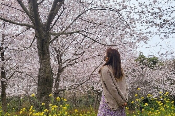 Full-Day Jeju Island UNESCO Tour for Cruise Layover Guests - Final Thoughts