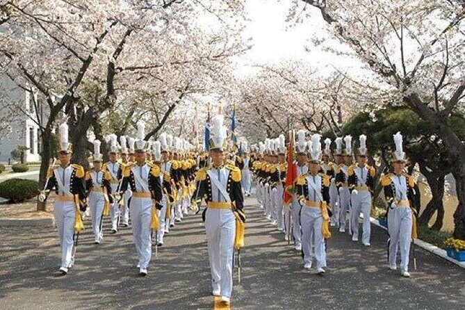 Full-Day Jinhae Cherry Blossom festival Private tour - The Experience: What’s Included and What to Expect
