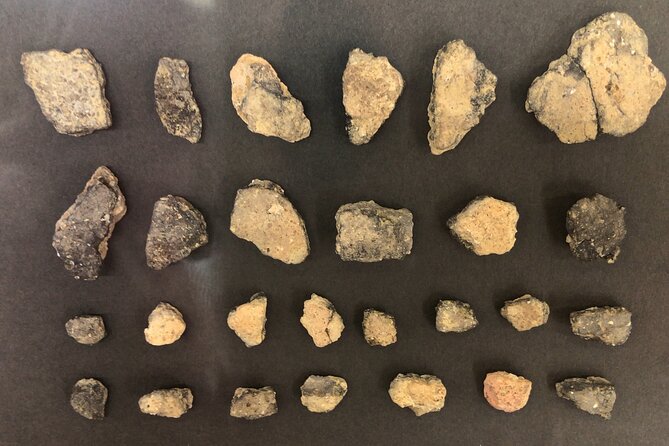 Full-Day Jomon World Heritage Site Tour in Northern Tsugaru Area - Highlights of the Tour