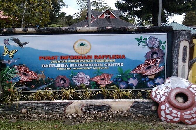 Full Day JomTour! Memorable Experience in Kota Kinabalu, Sabah - The Sum Up
