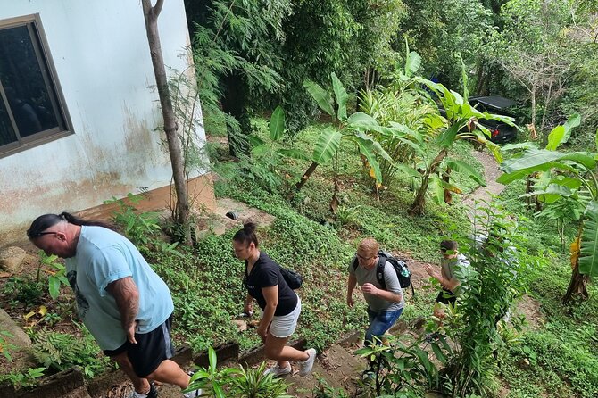 Full Day Jungle Safari Tour in Koh Samui - Who Should Consider This Tour?