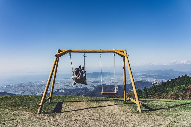 Full-Day Kagawa Tour - Accessibility and Additional Info