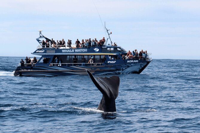 Full Day Kaikoura Tour Whale Watching Seals and Scenic Coast - Key Points