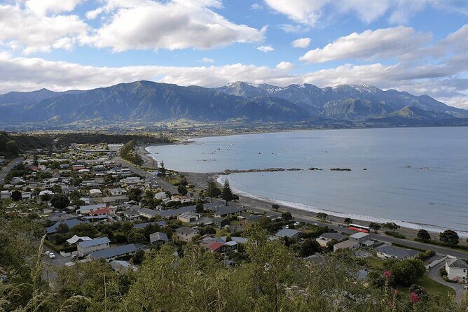 Full Day Kaikoura Tour Whale Watching Seals and Scenic Coast - Cost and Value