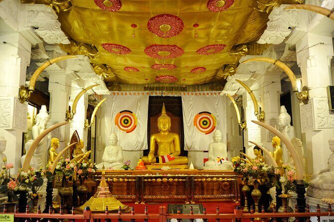 Full day Kandy City Tour by Tuk Tuk - Final Thoughts