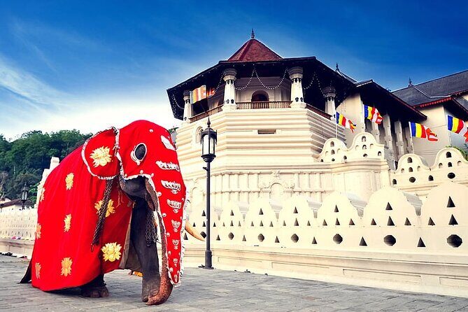 Full Day Kandy City Tour | From Colombo - Stop 4: The Kandy Viewpoint